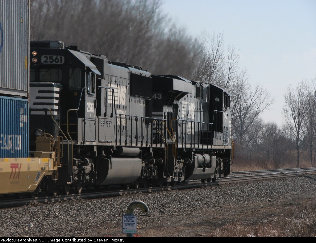 NS 2561